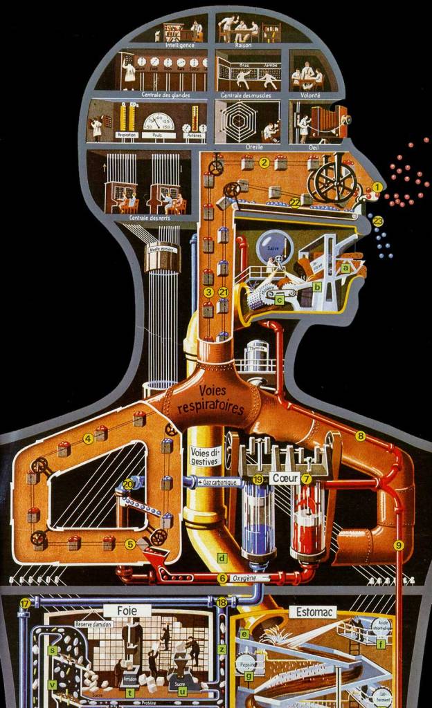 Fritz Kahn: Respiration (top) and What goes on in our heads when we see ...